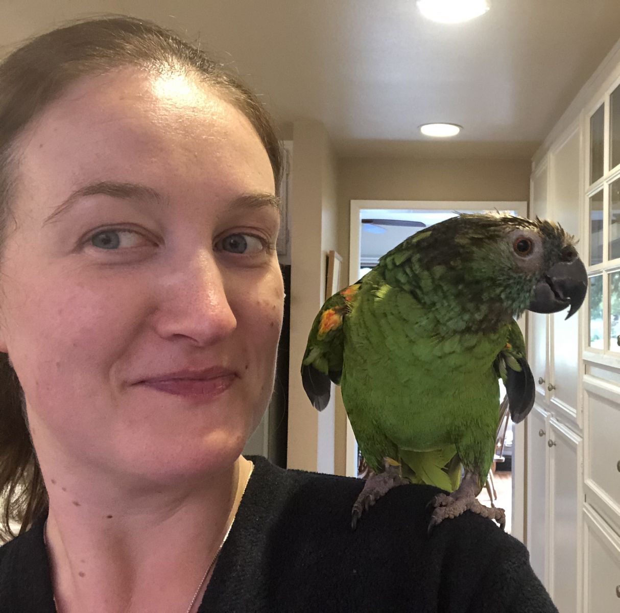 From the Acting CEO: 2022 Annual Report | Mickaboo